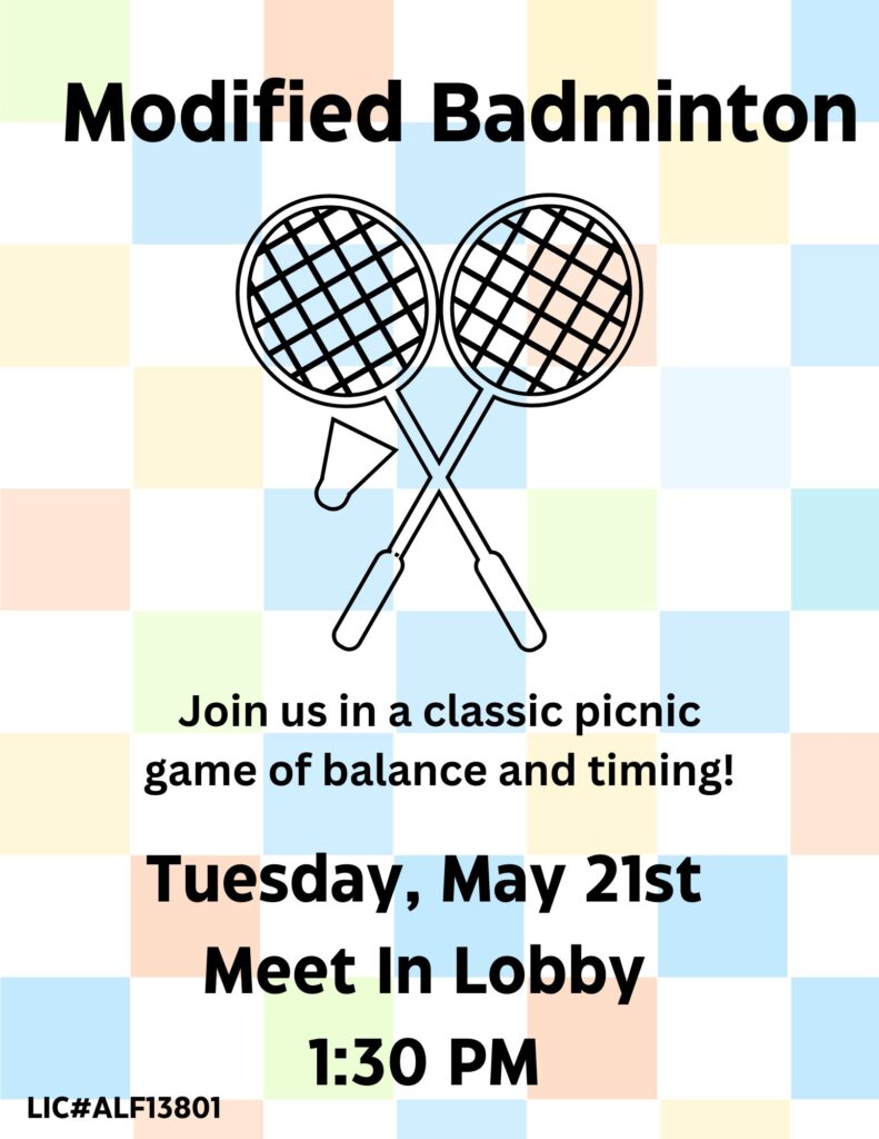 Modified Badminton - Lake Gibson Village